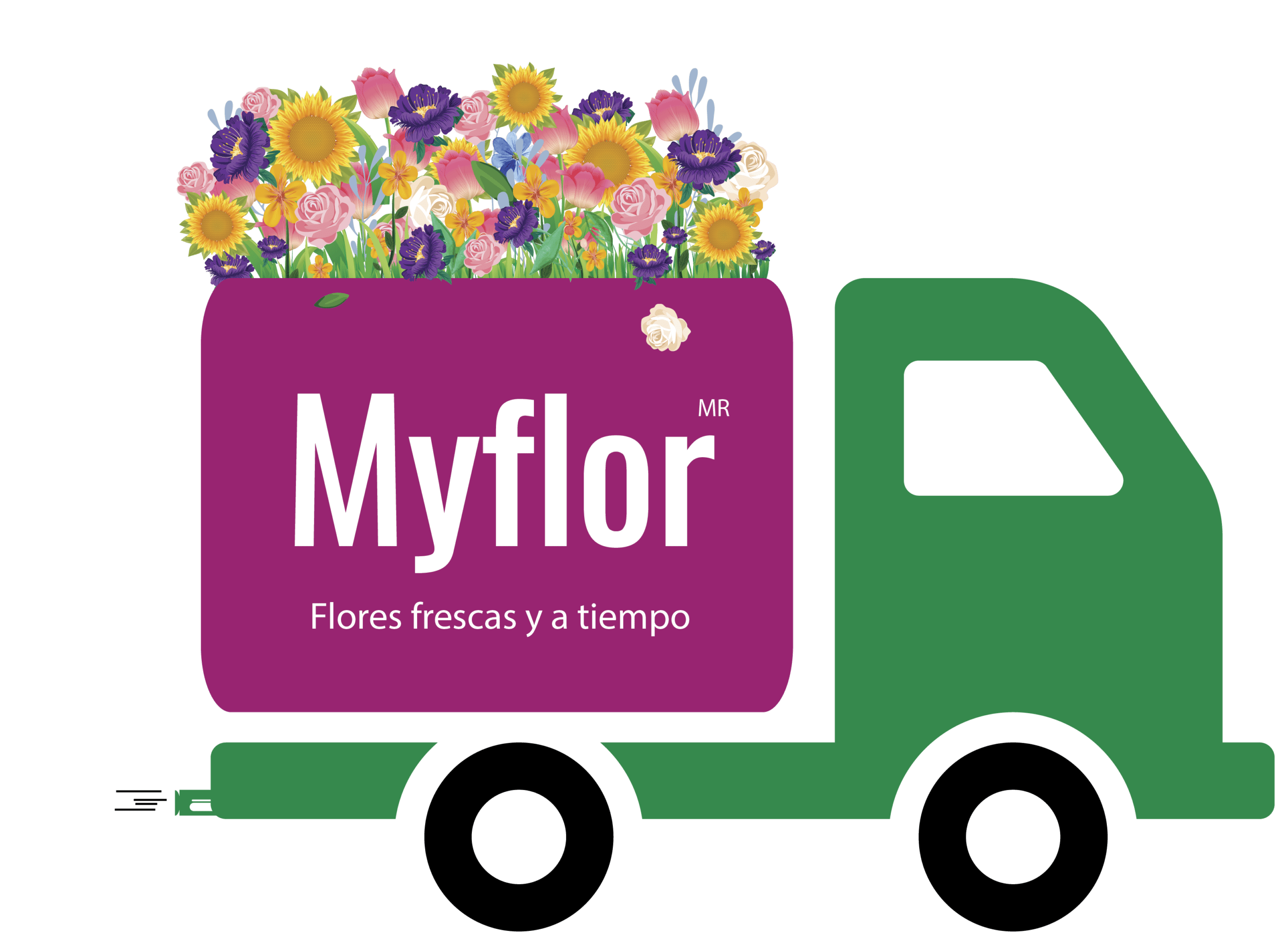 Flores de Mayoreo | Flores en venta al mayoreo Morelia