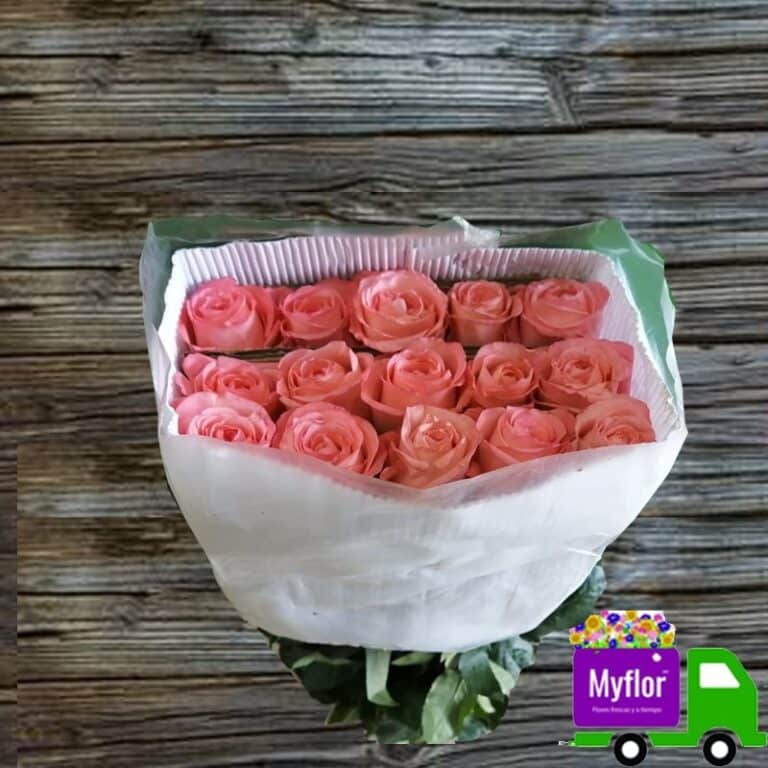 Flores de Mayoreo | Flores en venta al mayoreo