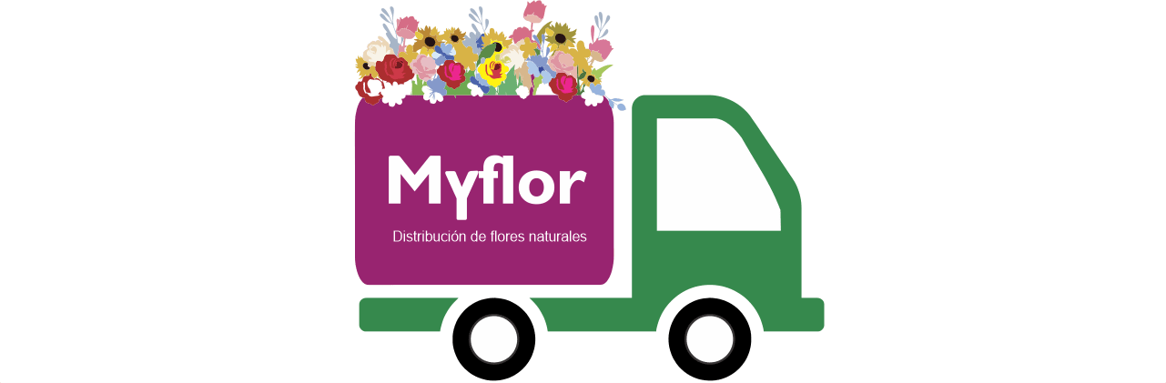 Flores de Mayoreo | Flores en venta al mayoreo Morelia