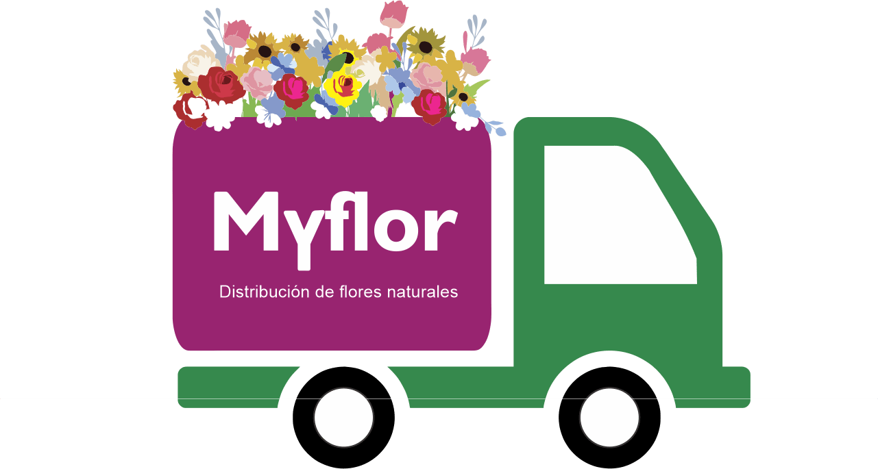 Flores de Mayoreo | Flores en venta al mayoreo Morelia